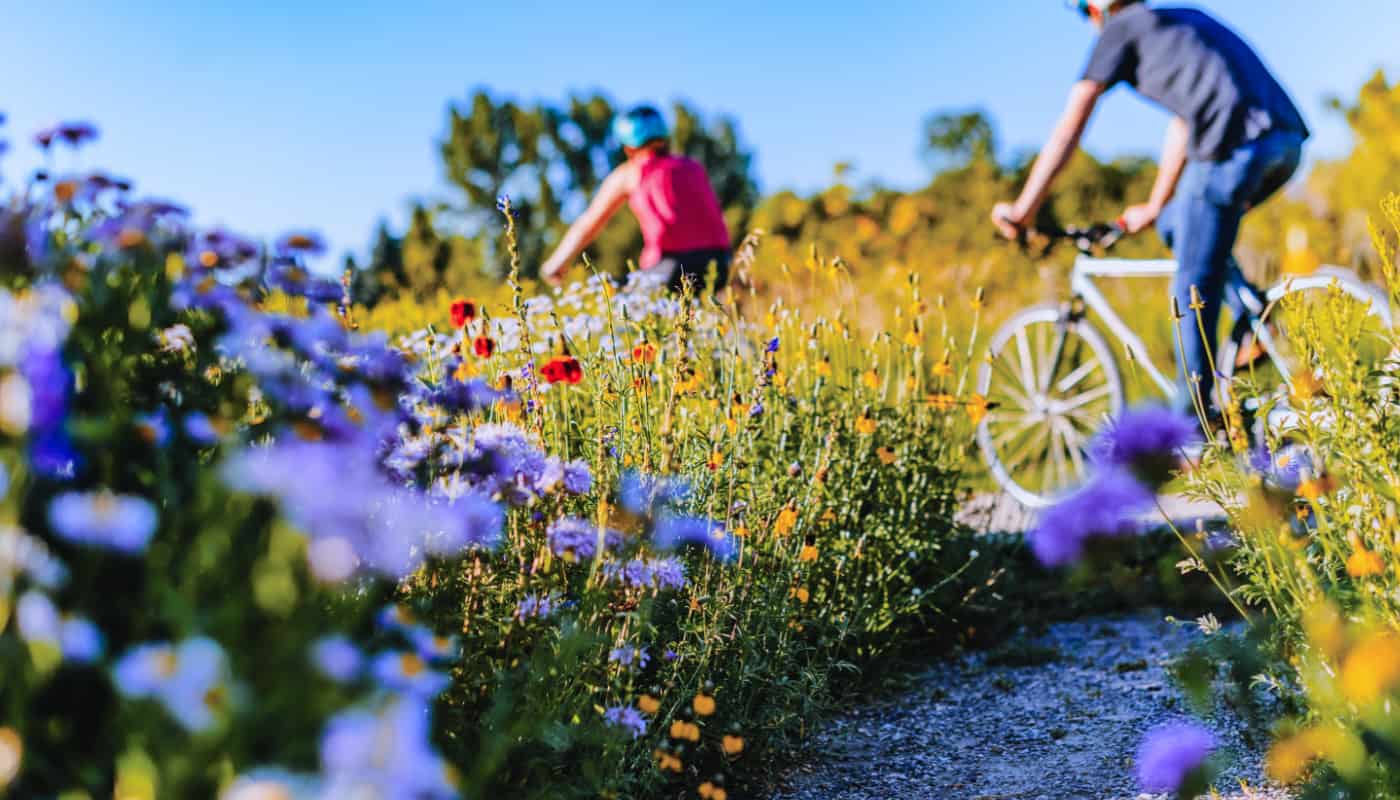 Top Spring Destinations Perfect for Travel Nurses