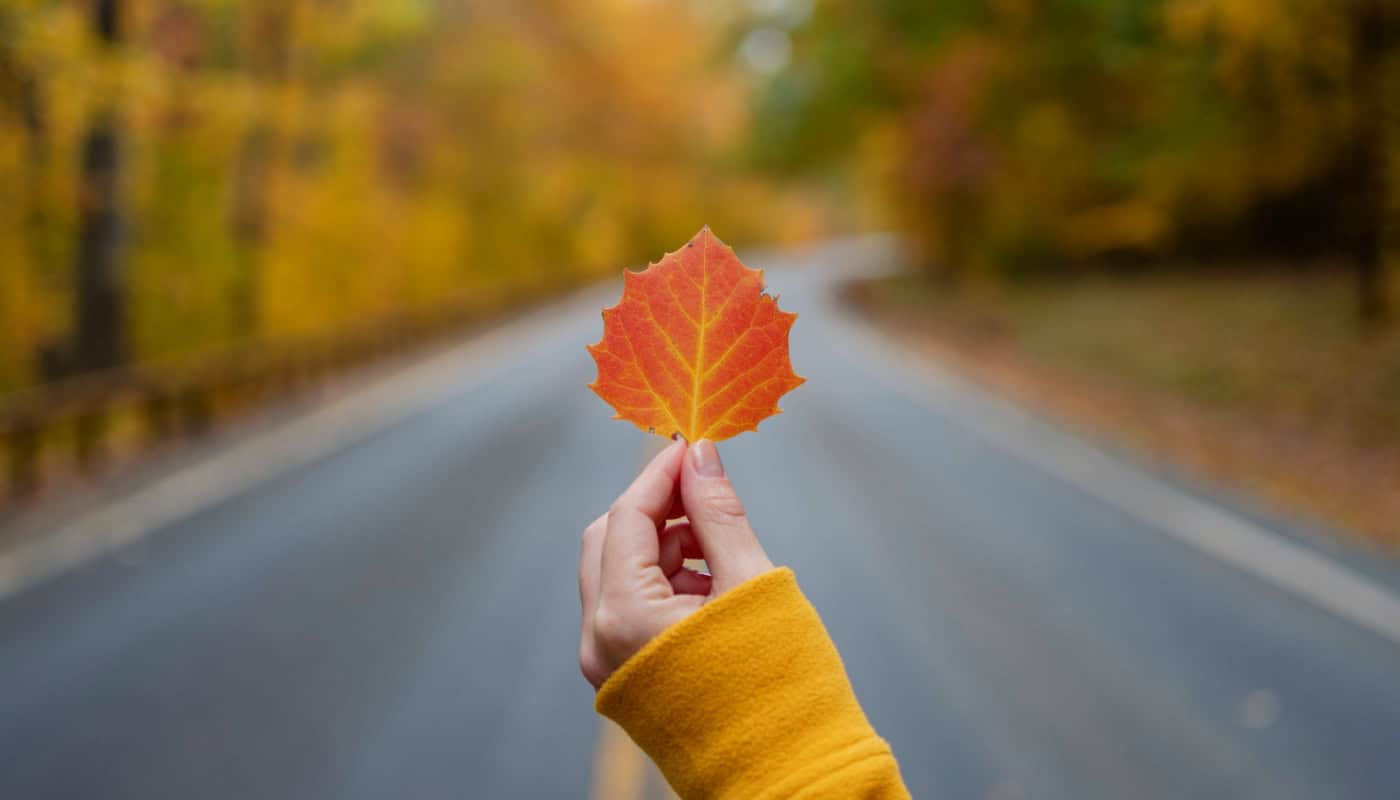 11 Top Locations for Fall Foliage: A Guide for Travel Nurses